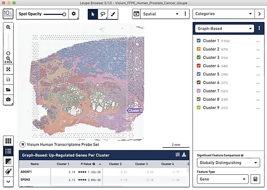 Your Visium for FFPE data analysis questions answered - 10x Genomics