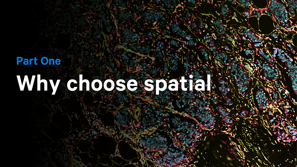 Why choose spatial: Exploring experimental considerations and the right ...