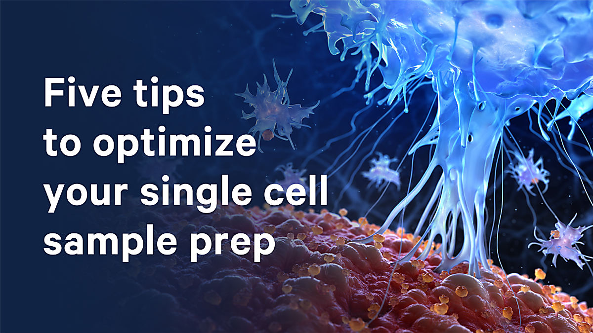 5 expert tips for difficult single cell tissue dissociation: A ...