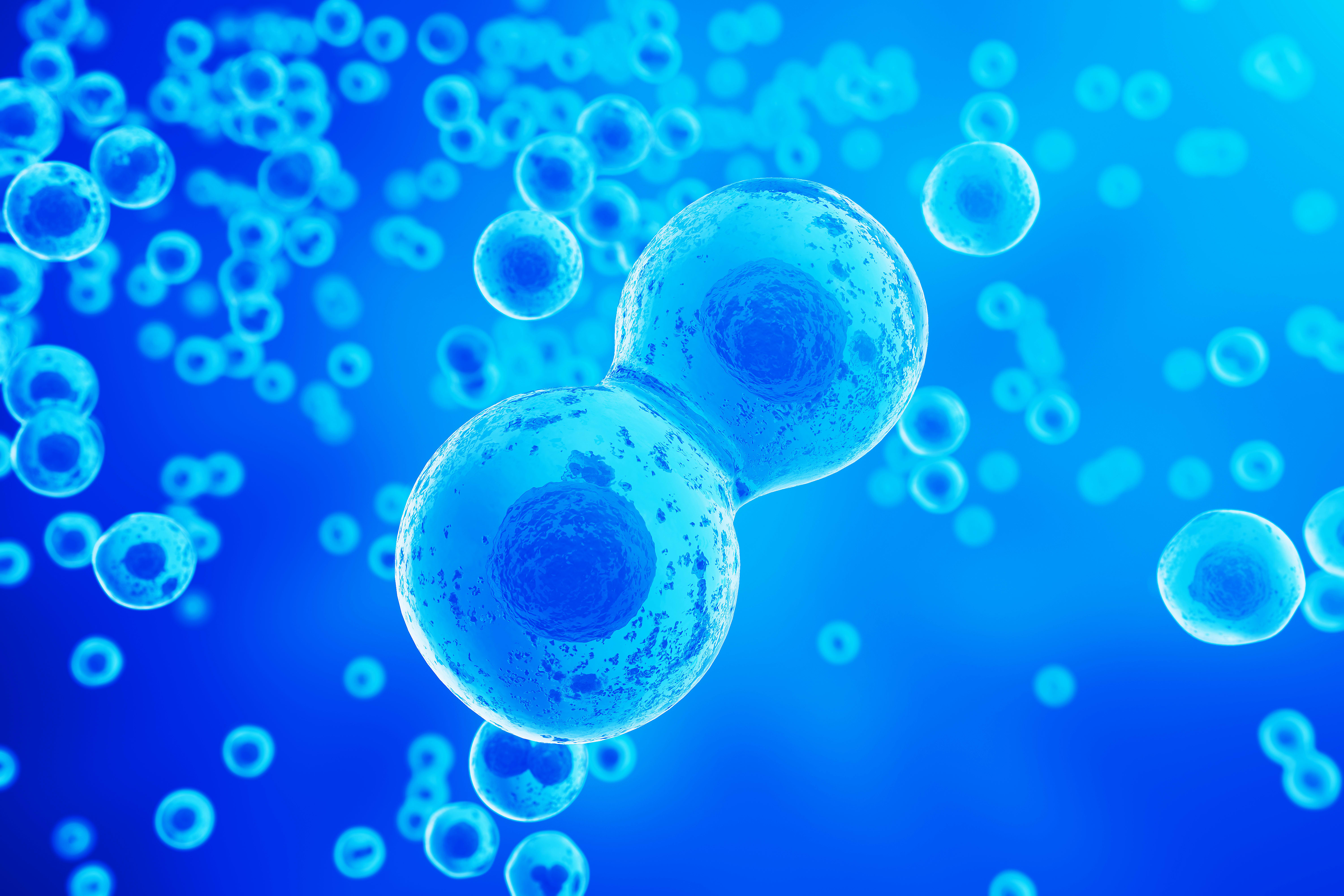 Single cell RNA-seq: An introductory overview and tools for getting ...