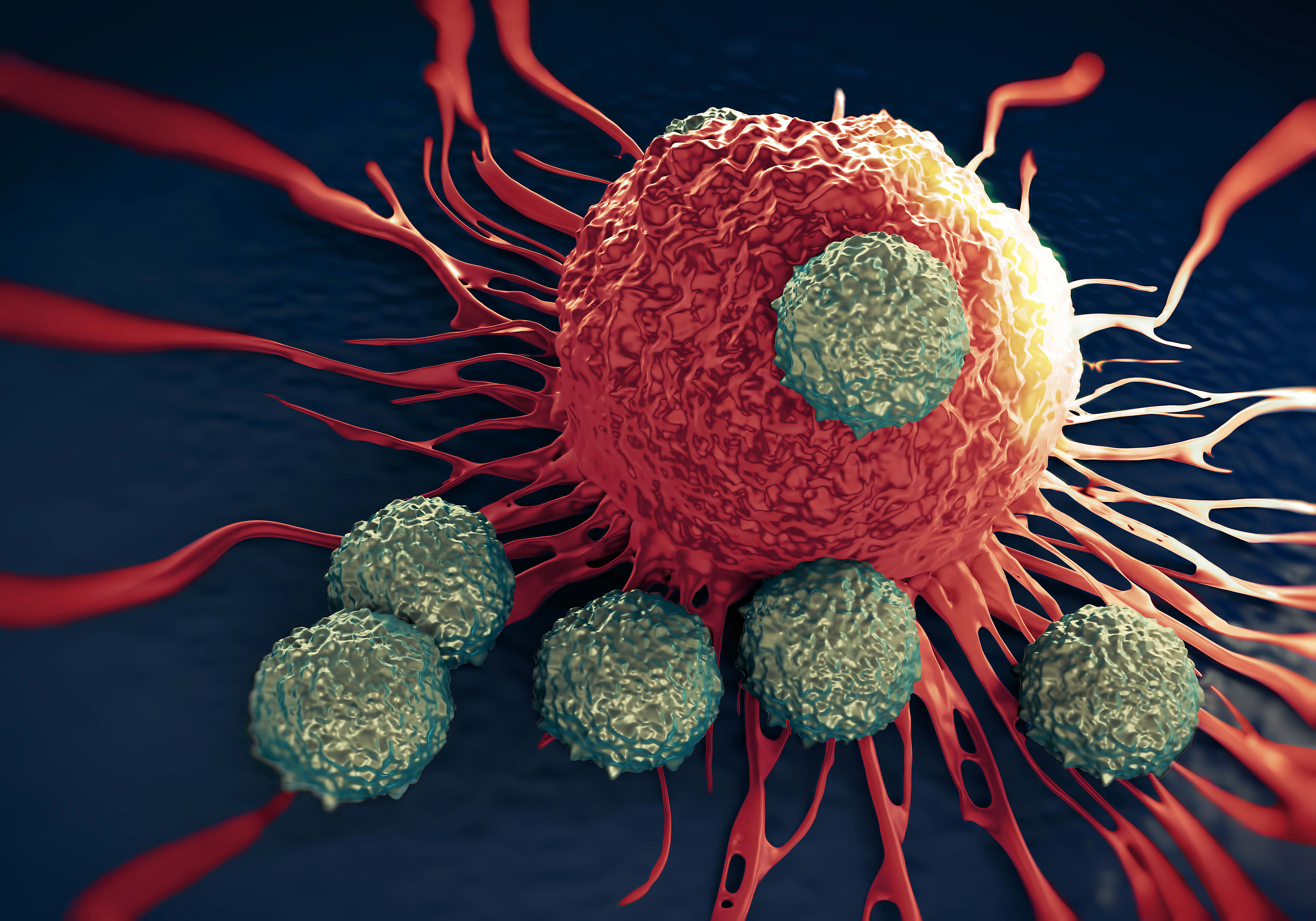 Spatial transcriptomics—the next evolution of cancer drug discovery ...