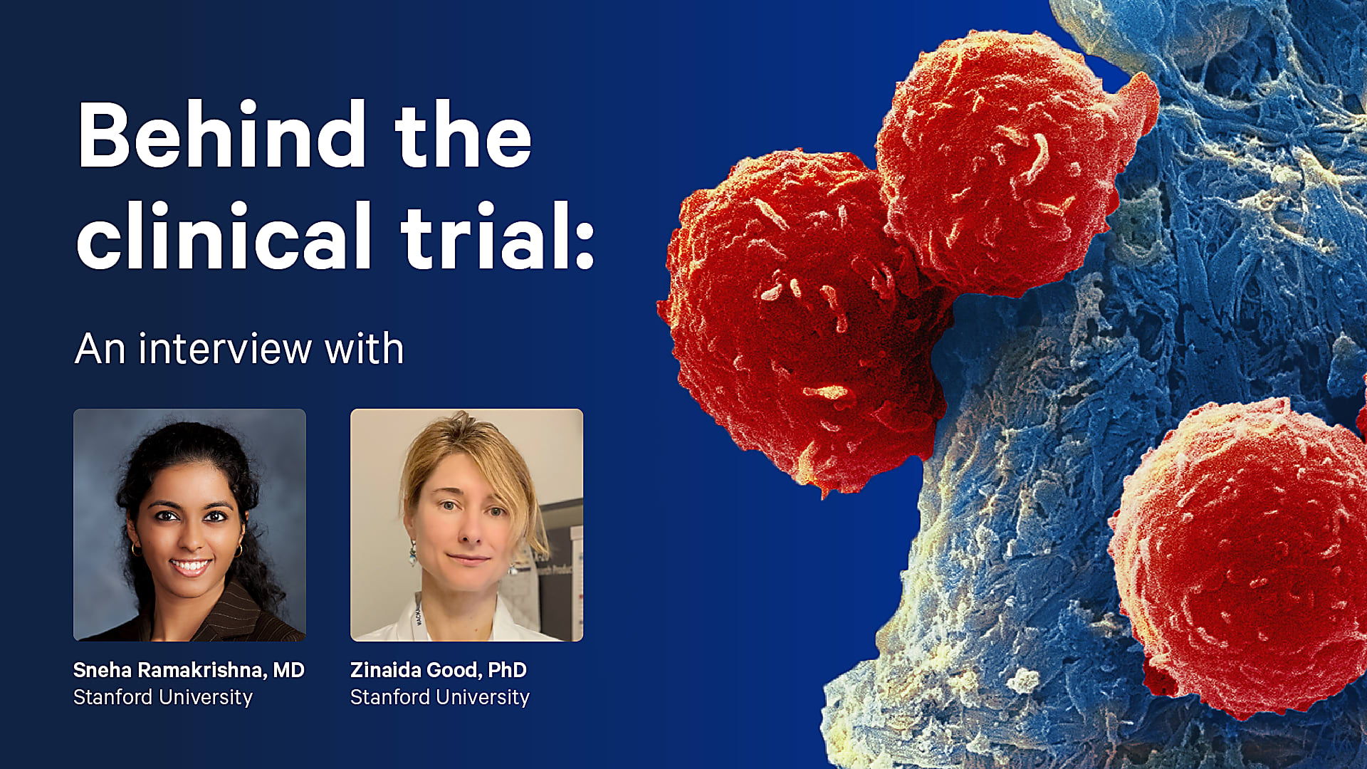 Behind the clinical trial: Advancing CAR T-cell therapies for kids with ...