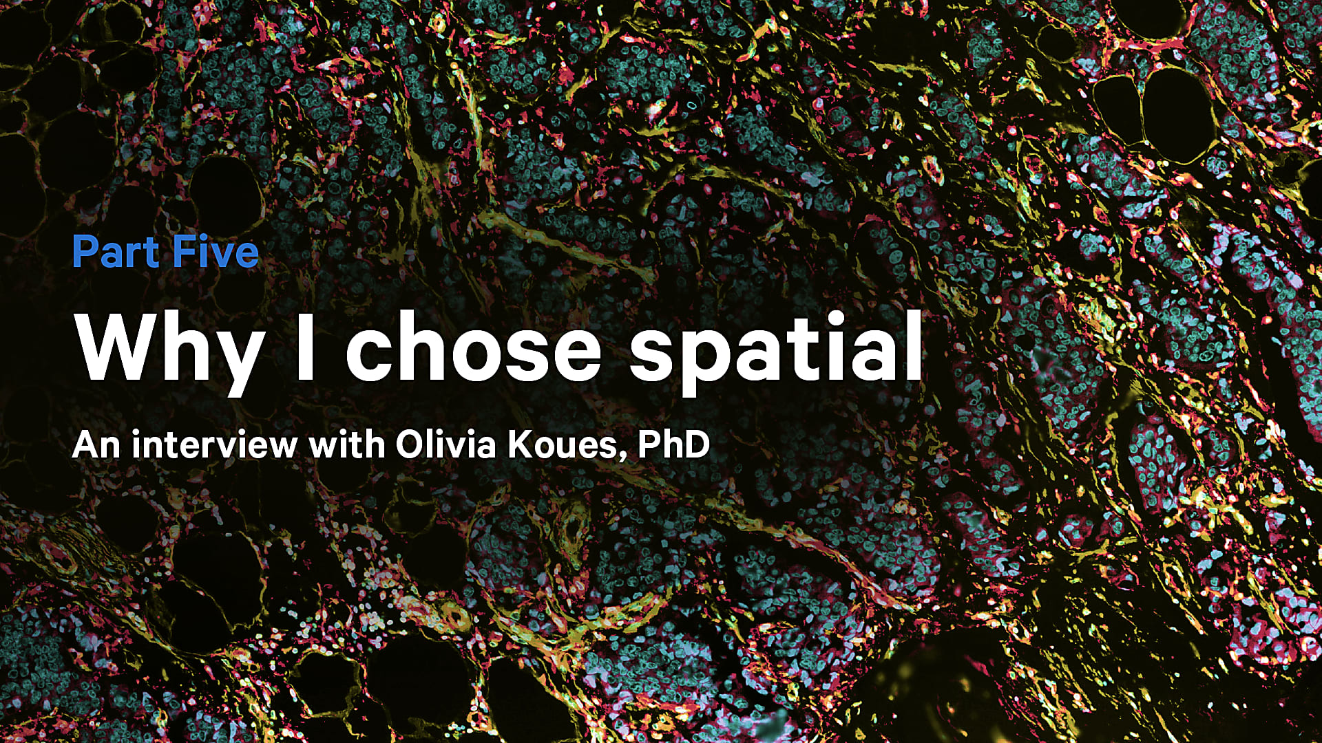 Why I chose spatial as a genomics core: Empowering spatial research for ...