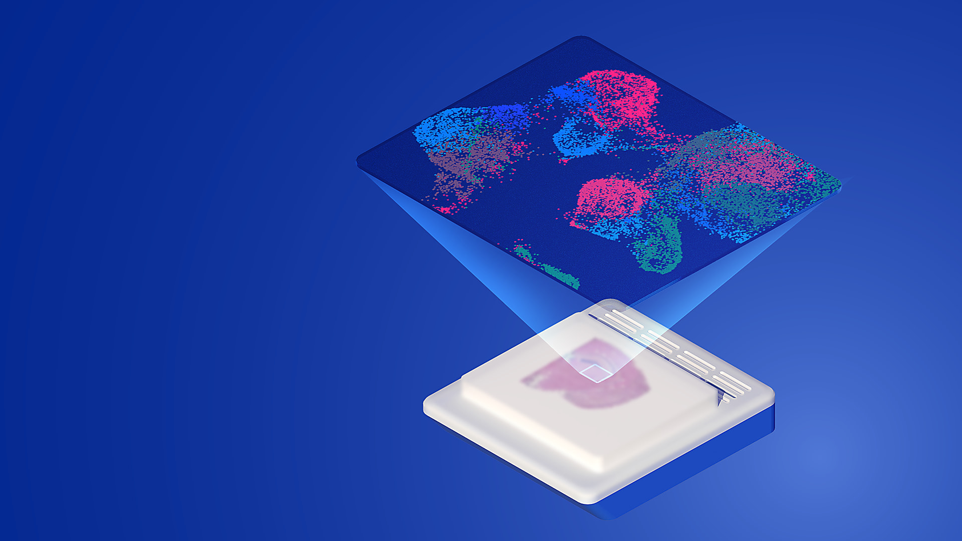 A pathologist’s perspective: Advantages of using FFPE tissues for ...