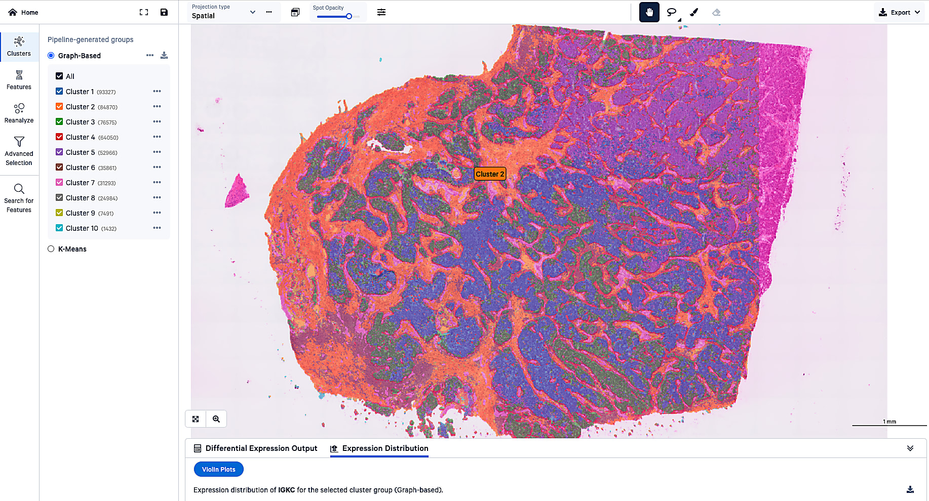 Getting started with Visium HD data analysis and third-party tools ...