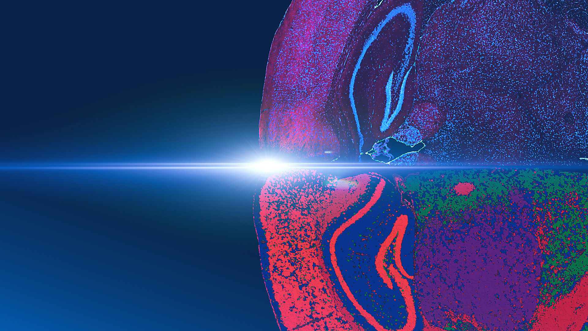 Two platforms, one powerful spatial biology toolkit: When and how ...