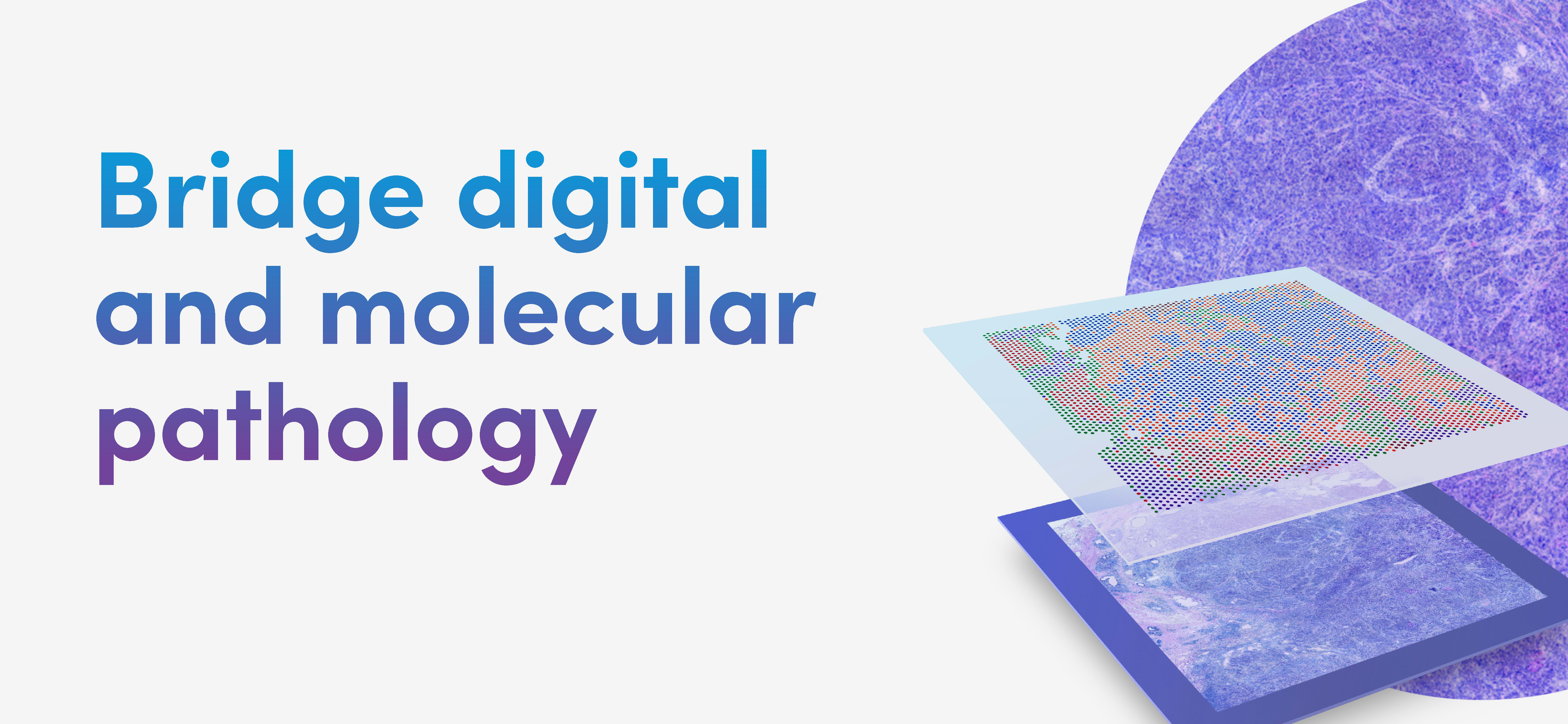 AMP 2020 Workshop: Pathological insights into virus-associated cancers ...