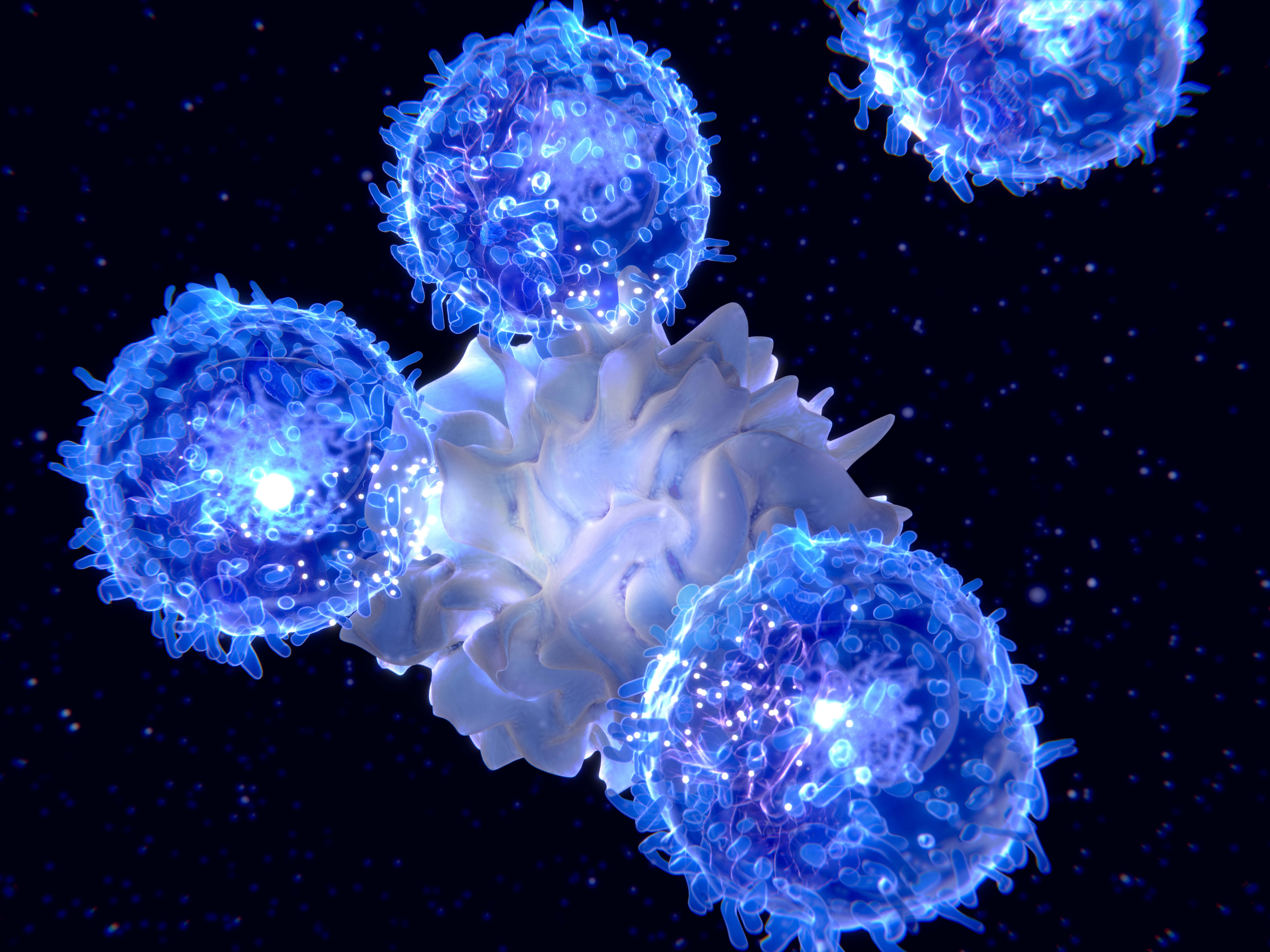 Understanding the T-cell response to personalized cancer vaccines | 10x ...