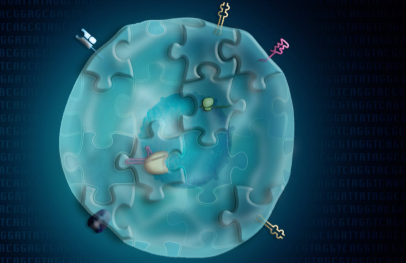 Genes that resist: Understanding cancer immune evasion with single cell ...