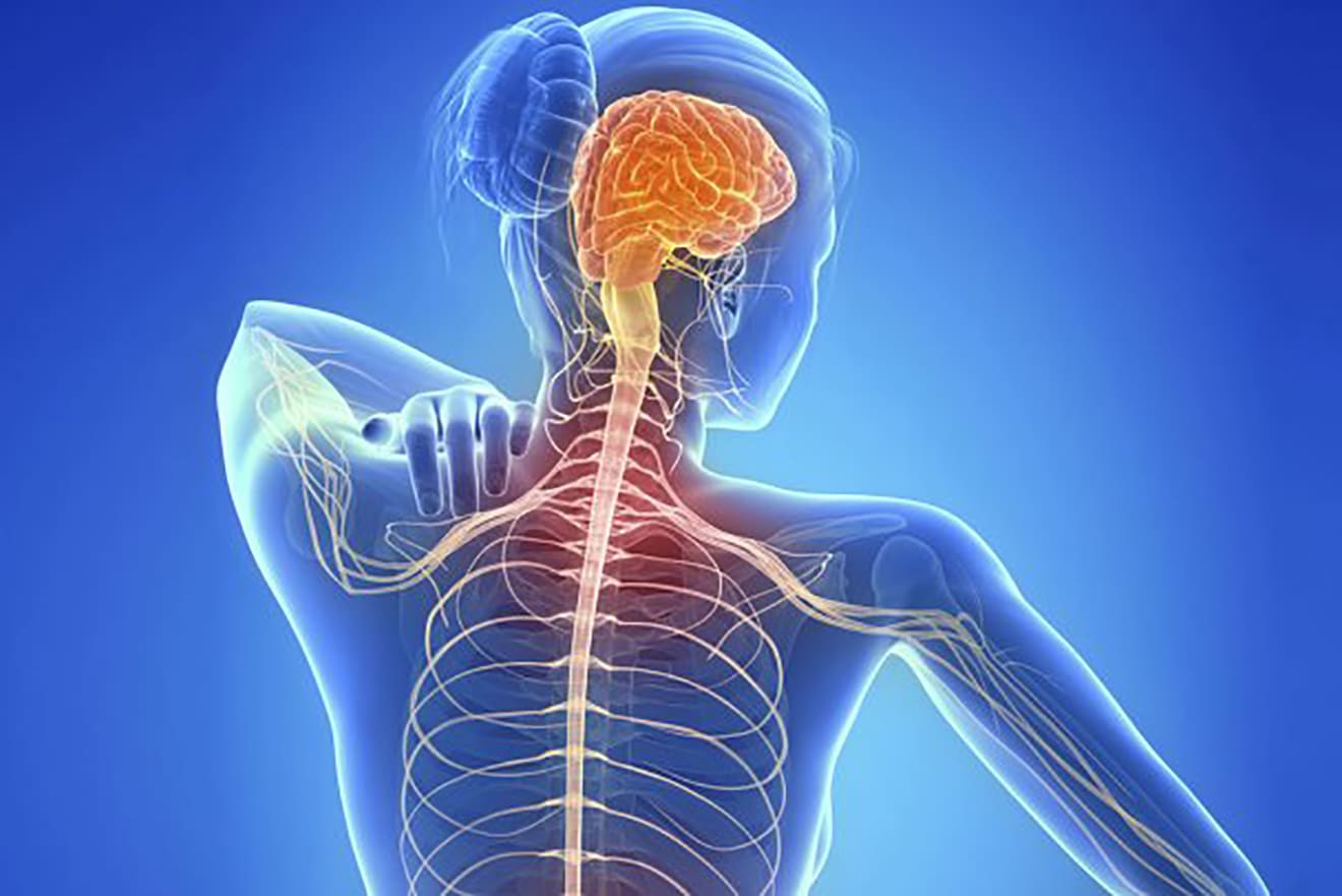 Not a losing battle: Single cell tools provide new insights into ...