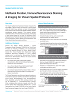 Methanol Fixation, Immunofluorescence Staining & Imaging for Visium ...