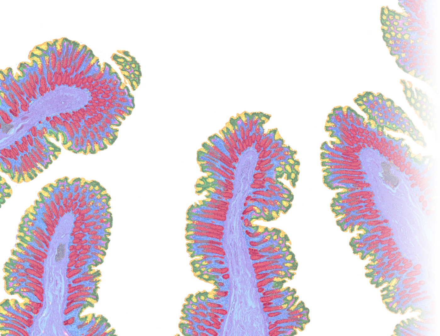 Visium platform page - 10x Genomics