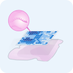 Visium Spatial Platform | 10x Genomics