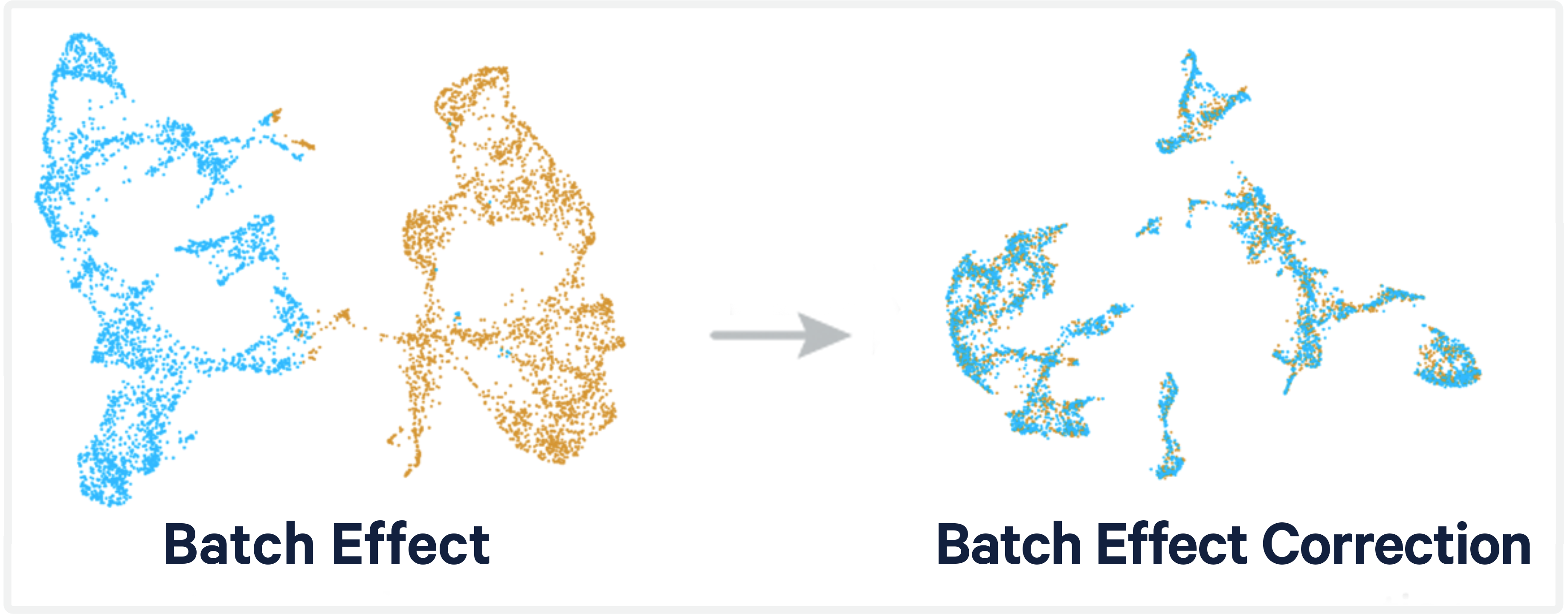 Batch Effect Correction In 10x Genomics Single Cell Sequencing Batch Effect Correction In 10x Genomics Single Cell Sequencing