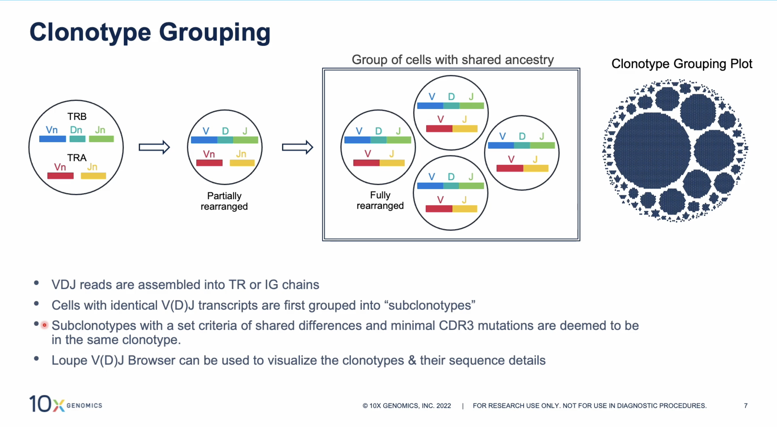 Single Cell 5 Barcode Enabled Antigen Mapping 10x Genomics