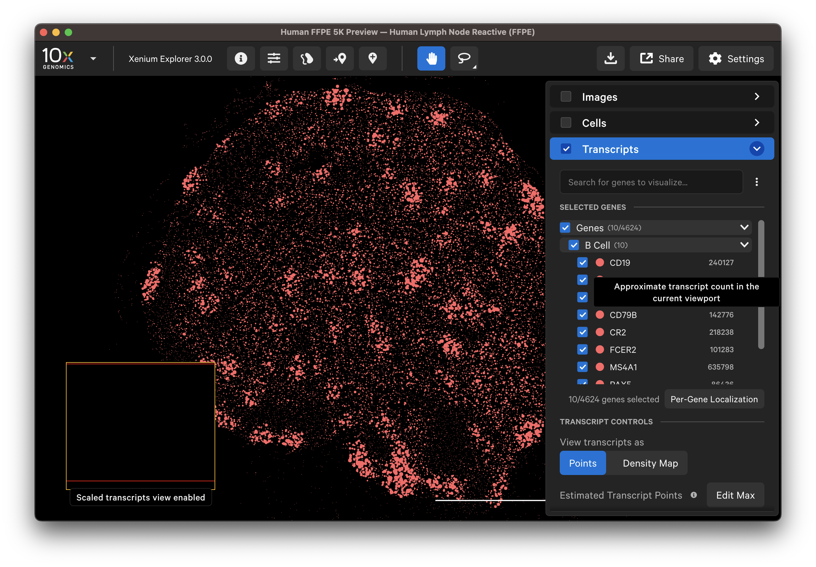 Navigate Transcripts Layer - Official 10x Genomics Support