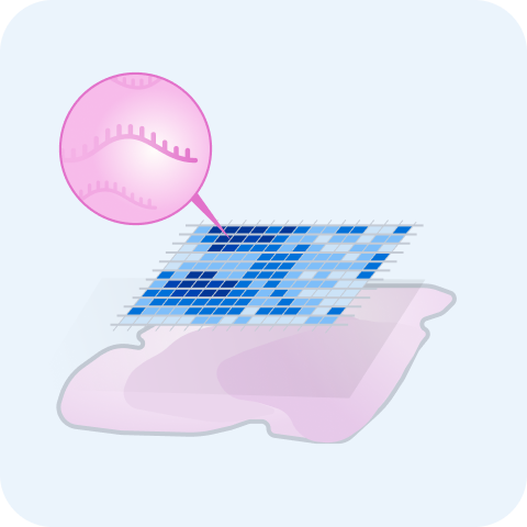 Visium Spatial Platform | 10x Genomics