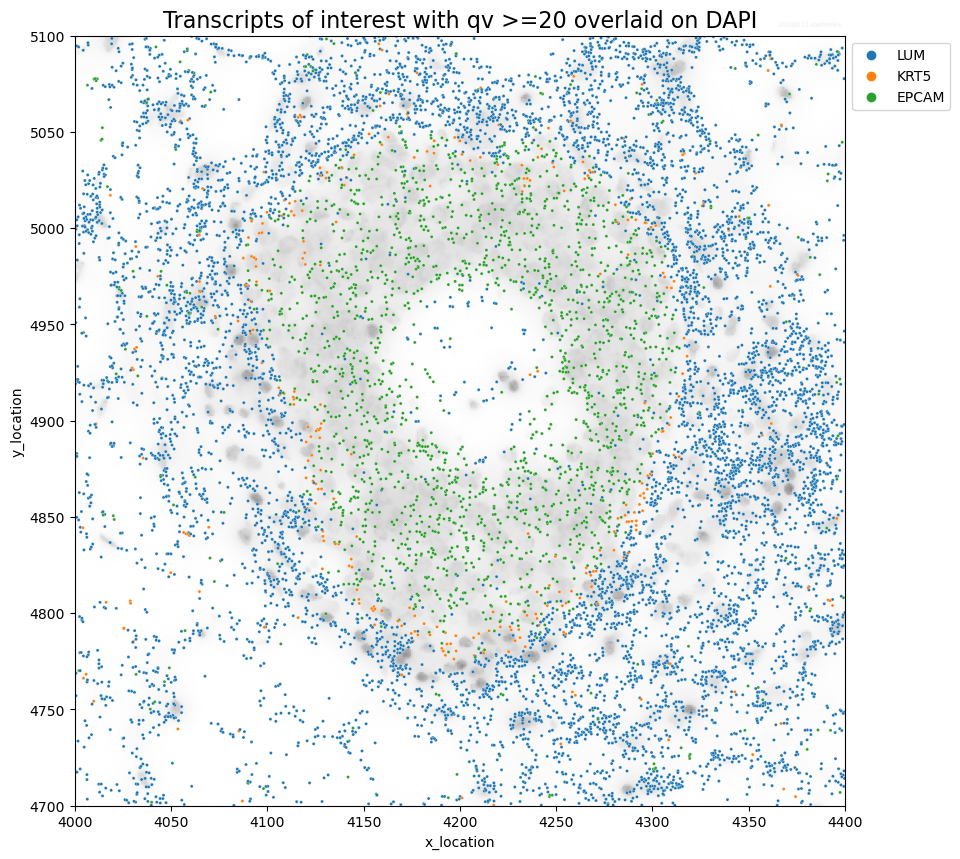 What are the Xenium image scale factors?