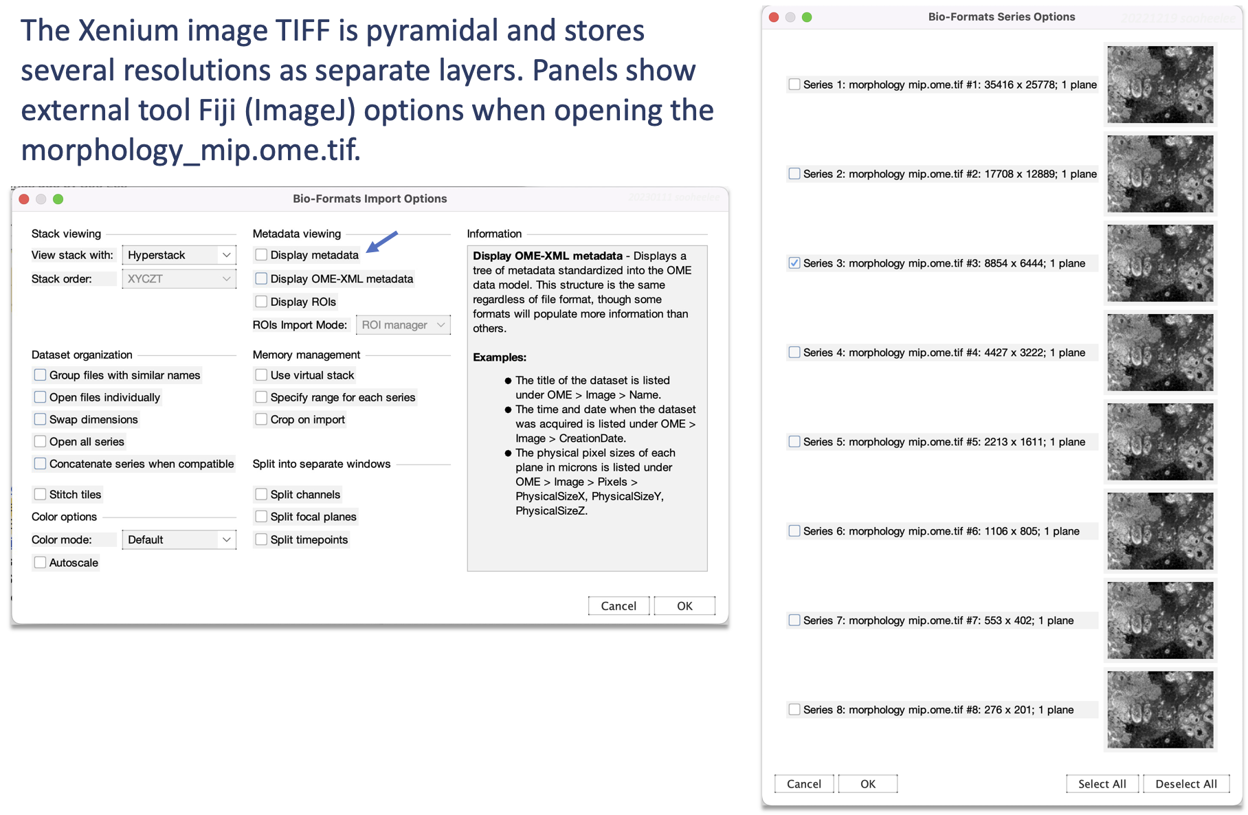 What are the Xenium image scale factors?