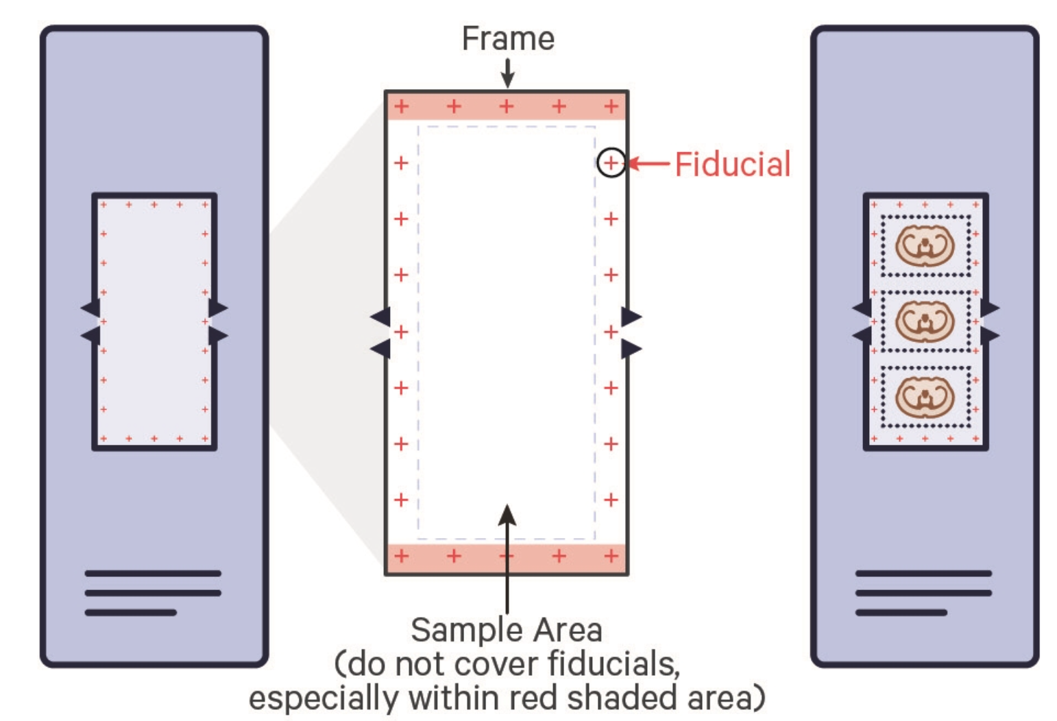 How can I more easily visualize the fiducial frame on Xenium slides?