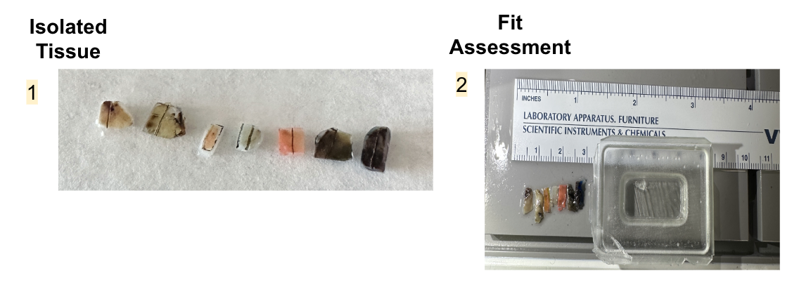 How to generate tissue arrays for Xenium?