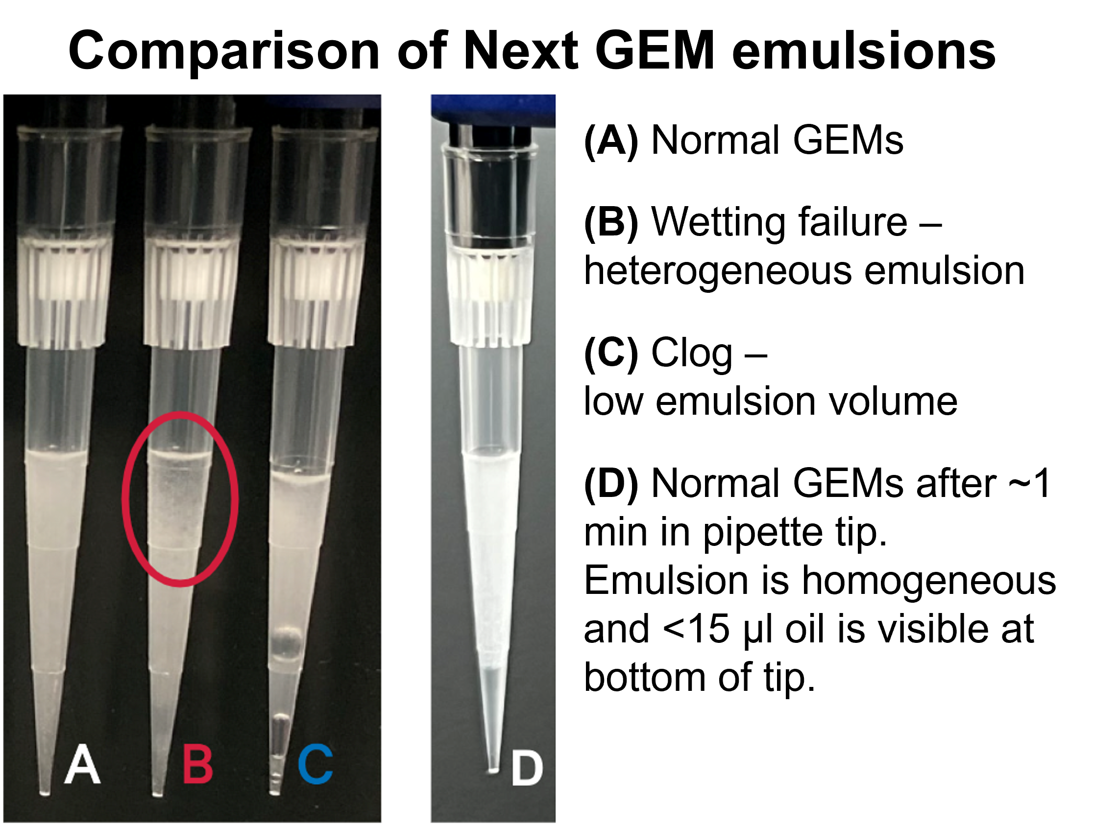 Is it normal to observe Partitioning Oil at the bottom of the pipette ...