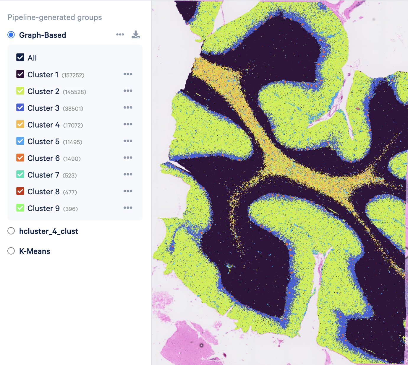 What should I consider when processing Healthy Human Brain FFPE samples ...