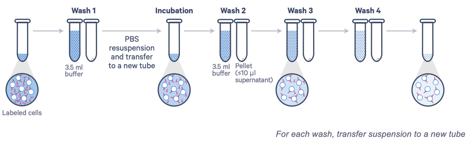 Can I perform Cell Hashing in a GEM-X Universal 5’ Gene Expression v3 ...