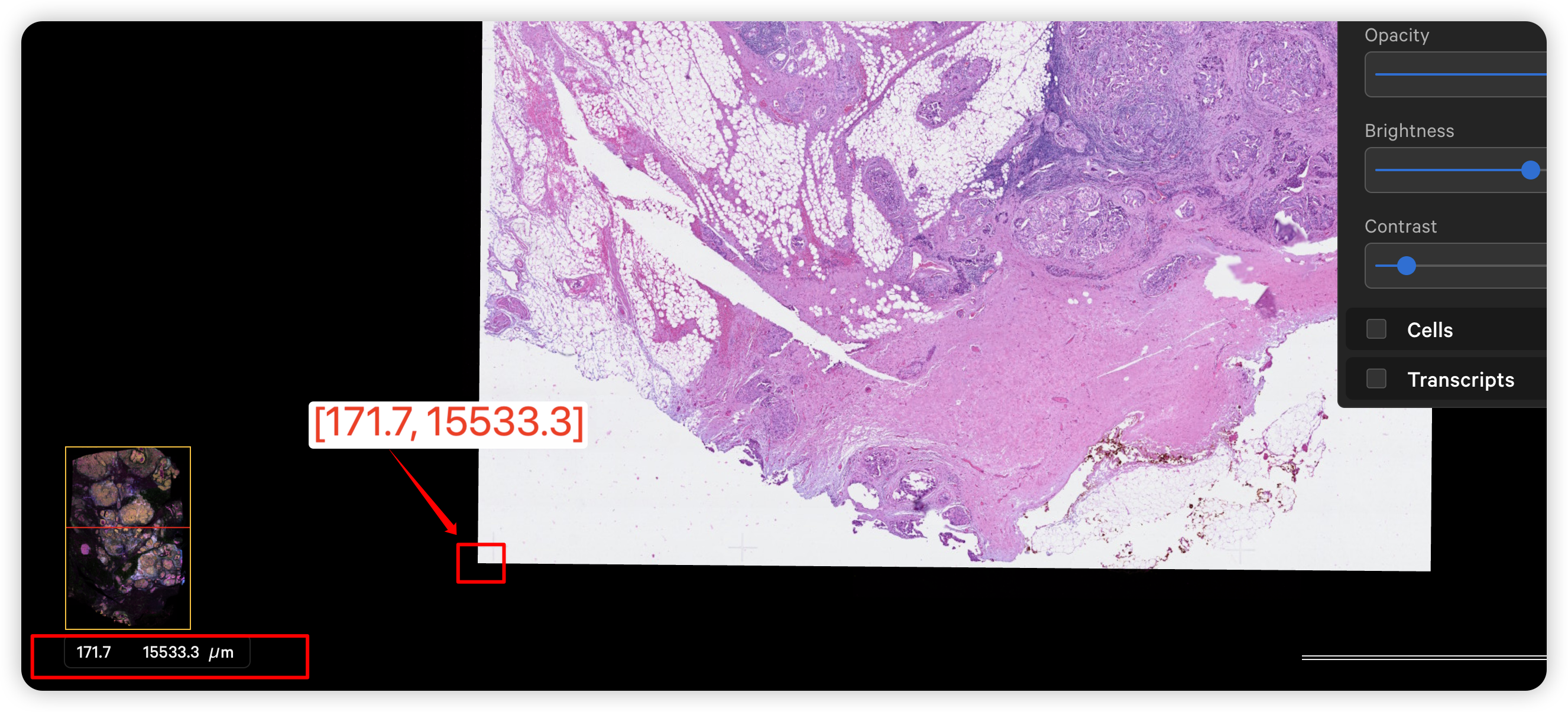 How can I convert coordinates between H&E image and Xenium data?