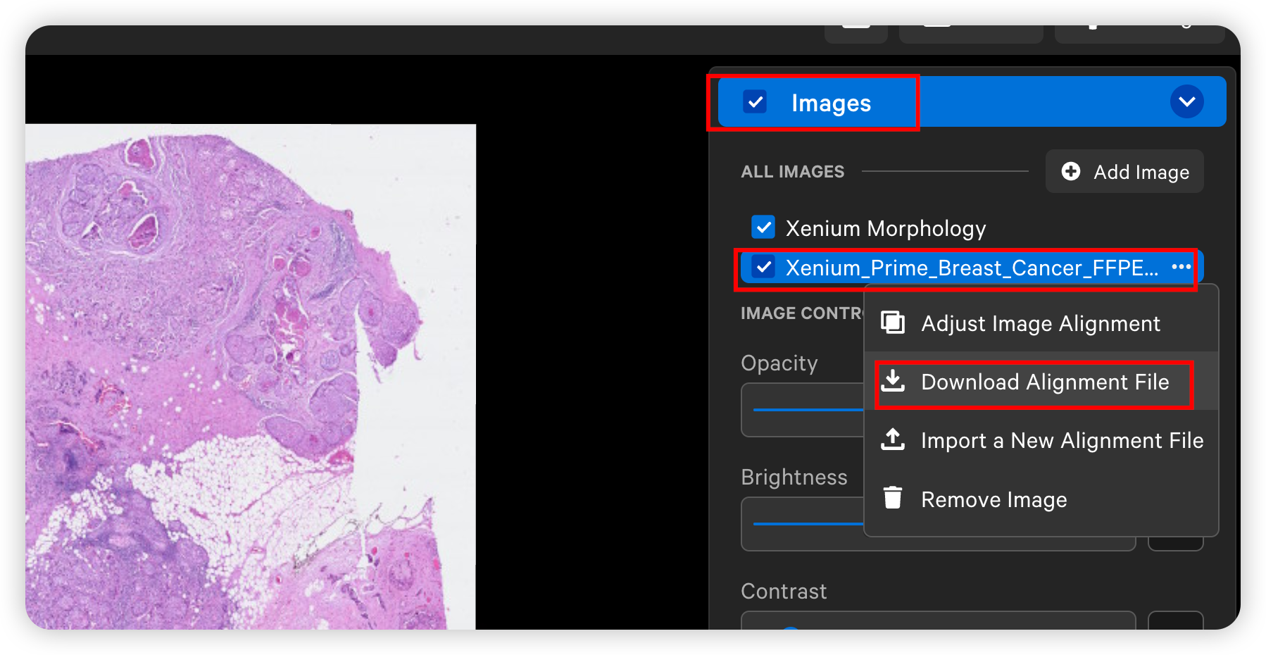 How can I convert coordinates between H&E image and Xenium data?