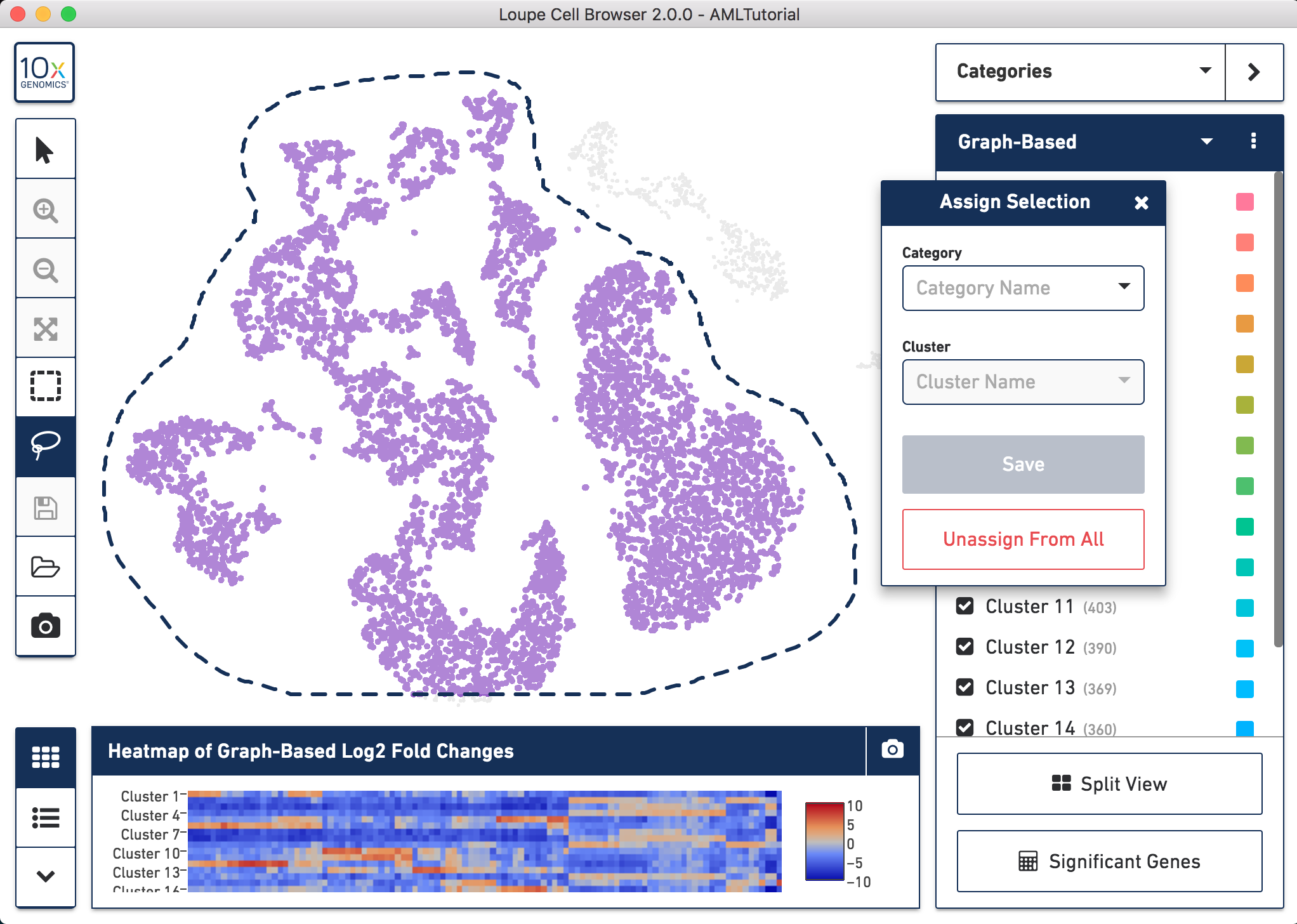 How do I reanalyze a subset of cells in Cell Ranger?