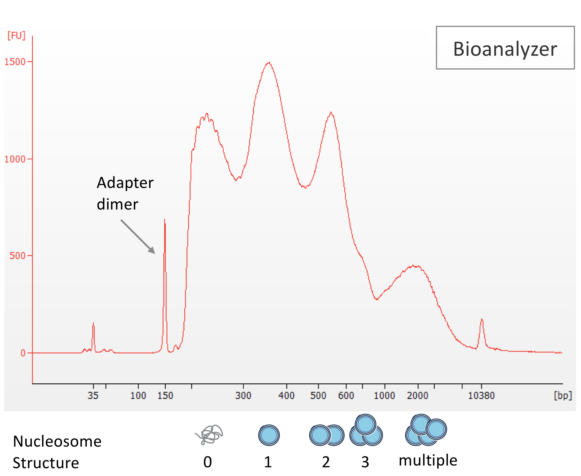 What are the peaks present in my ATAC library trace?