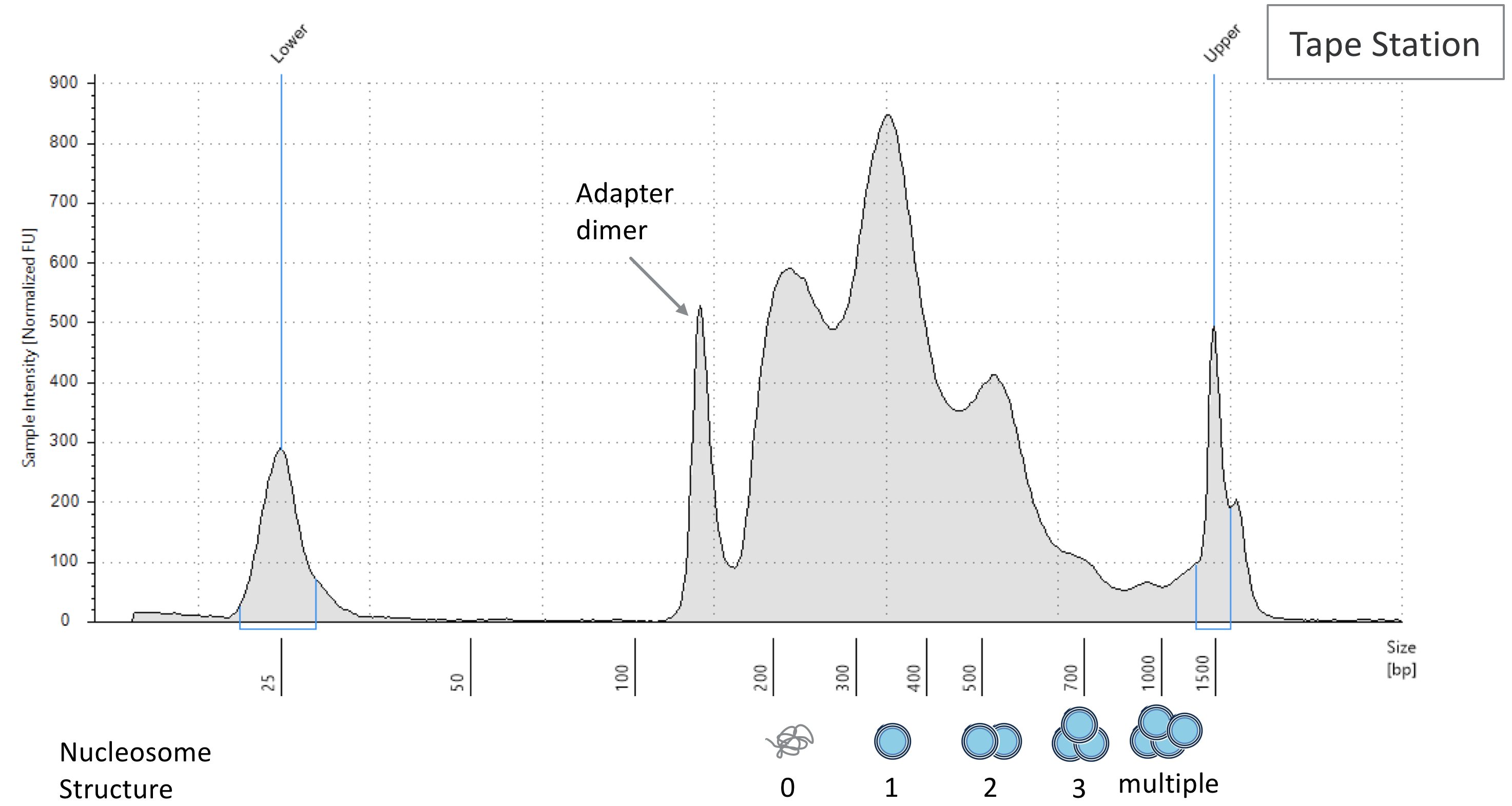 What are the peaks present in my ATAC library trace?