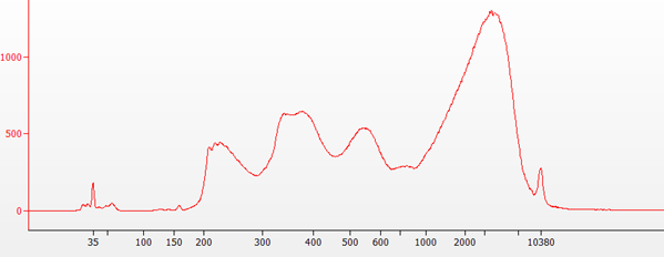 Why do I see an increased High Molecular Weight peak at 2000bp in the ...