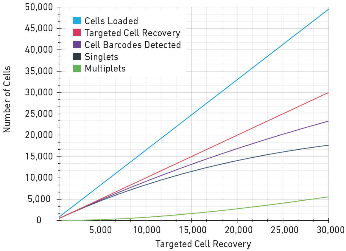 Why is the number of cells called in Cell Ranger less than the Targeted Cell Recovery?