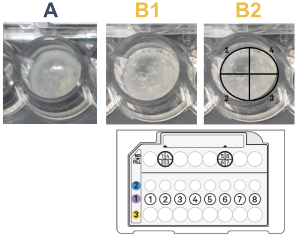 How do I diagnose and report a wetting failure with GEM-X assays?