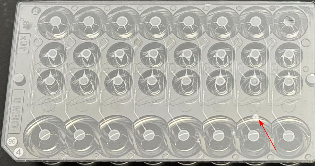 Is it normal to observe bright patches on the bottom surface of ...