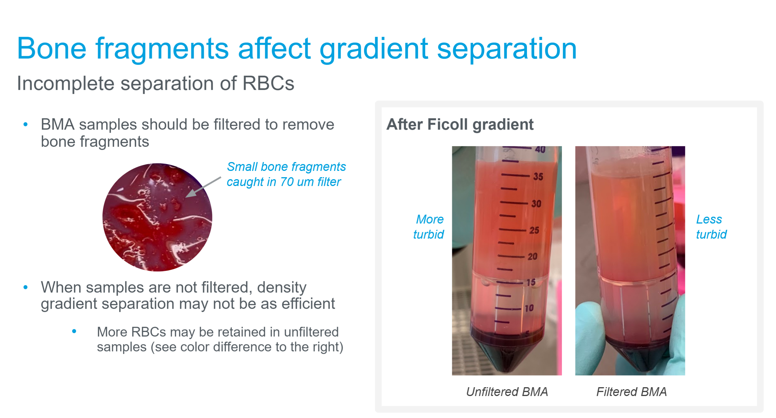 Why should I filter bone marrow aspirates before isolating BMMCs?