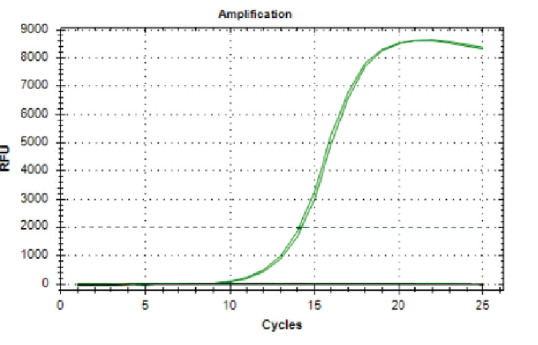 How do I interpret the qPCR plot to determine the cDNA amplification ...