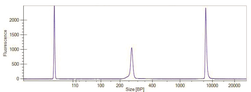 What is the expected size and concentration of Flex Gene Expression ...