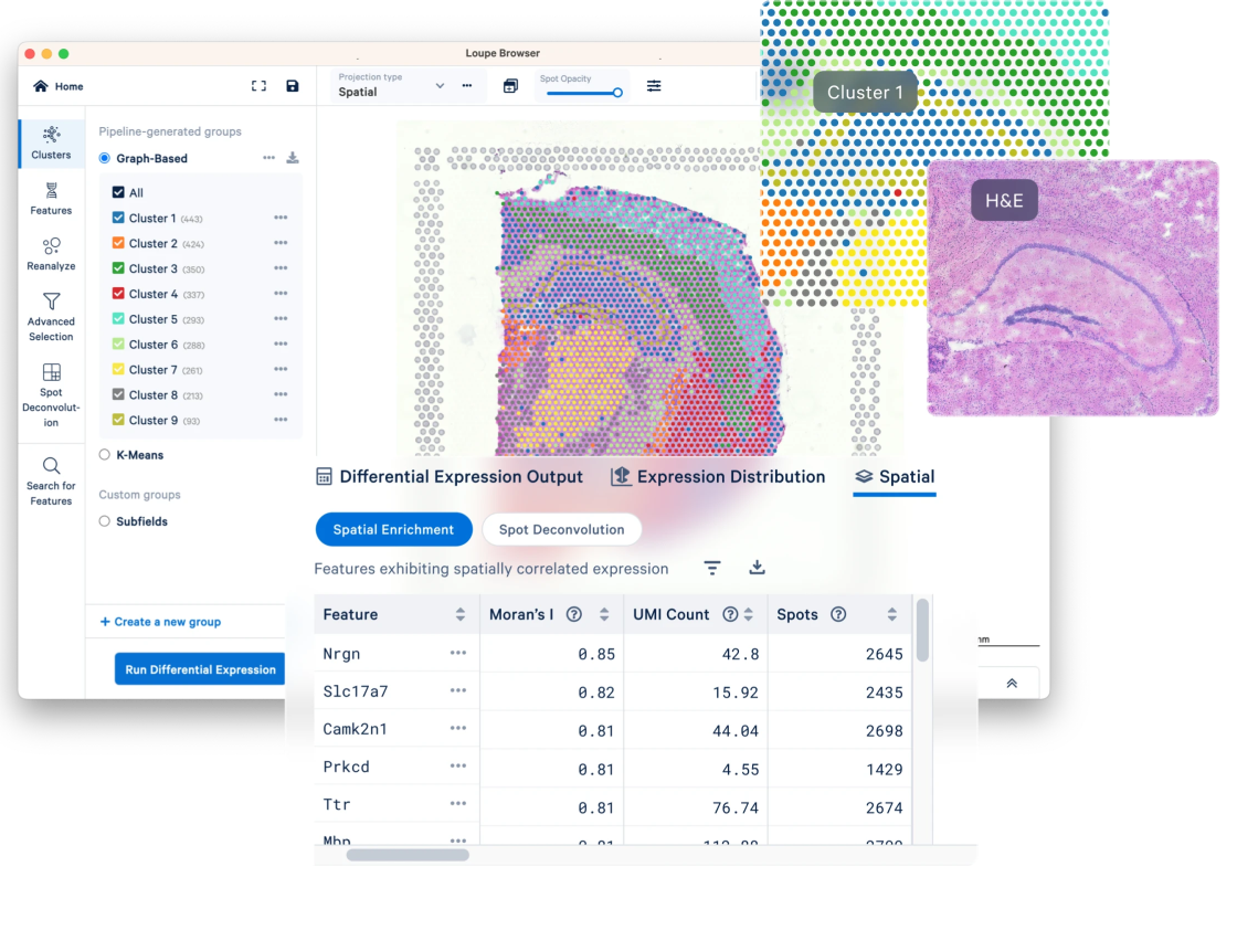 Visium Spatial Analysis Software | 10x Genomics